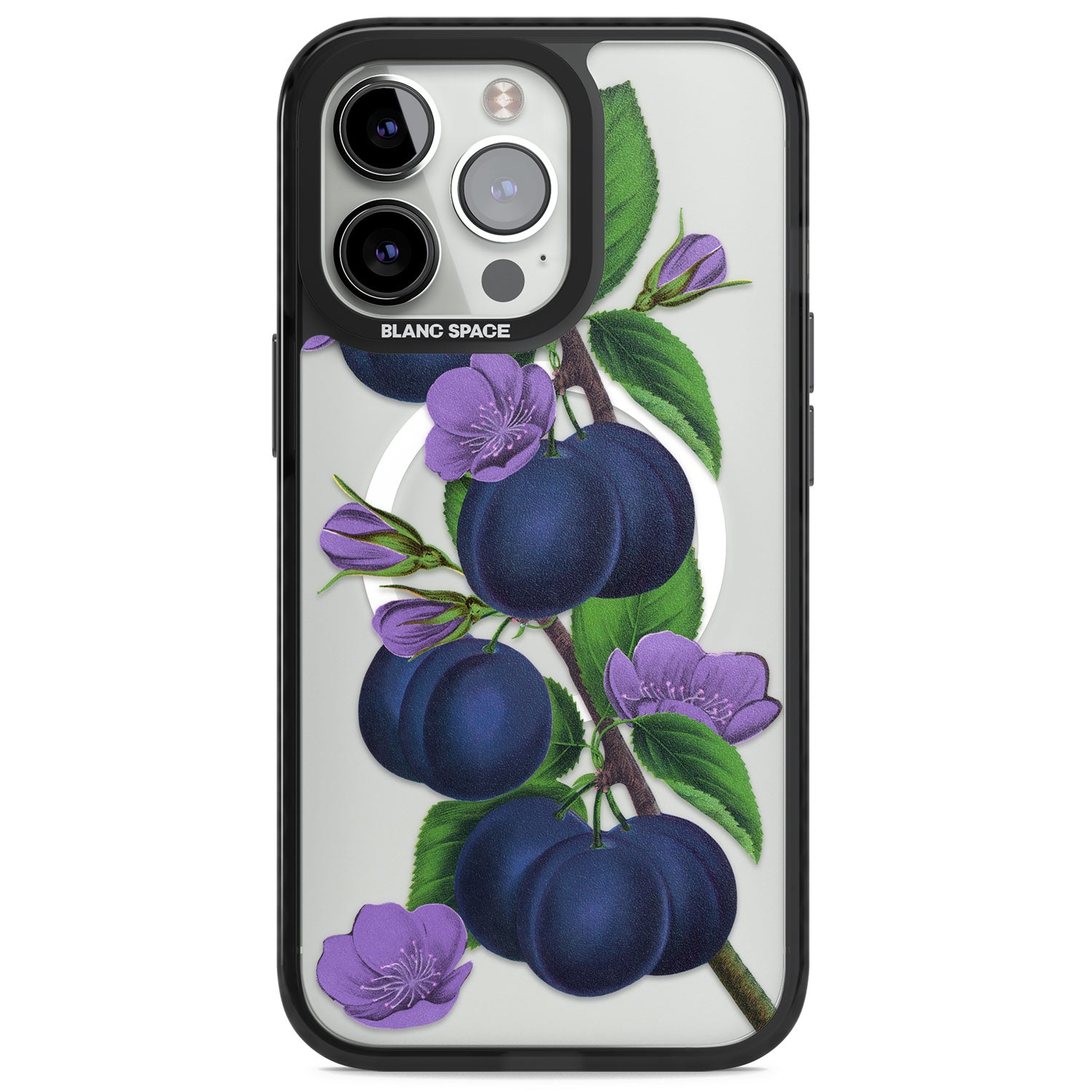 Vintage Painted Plums iPhone Case - Blanc Space