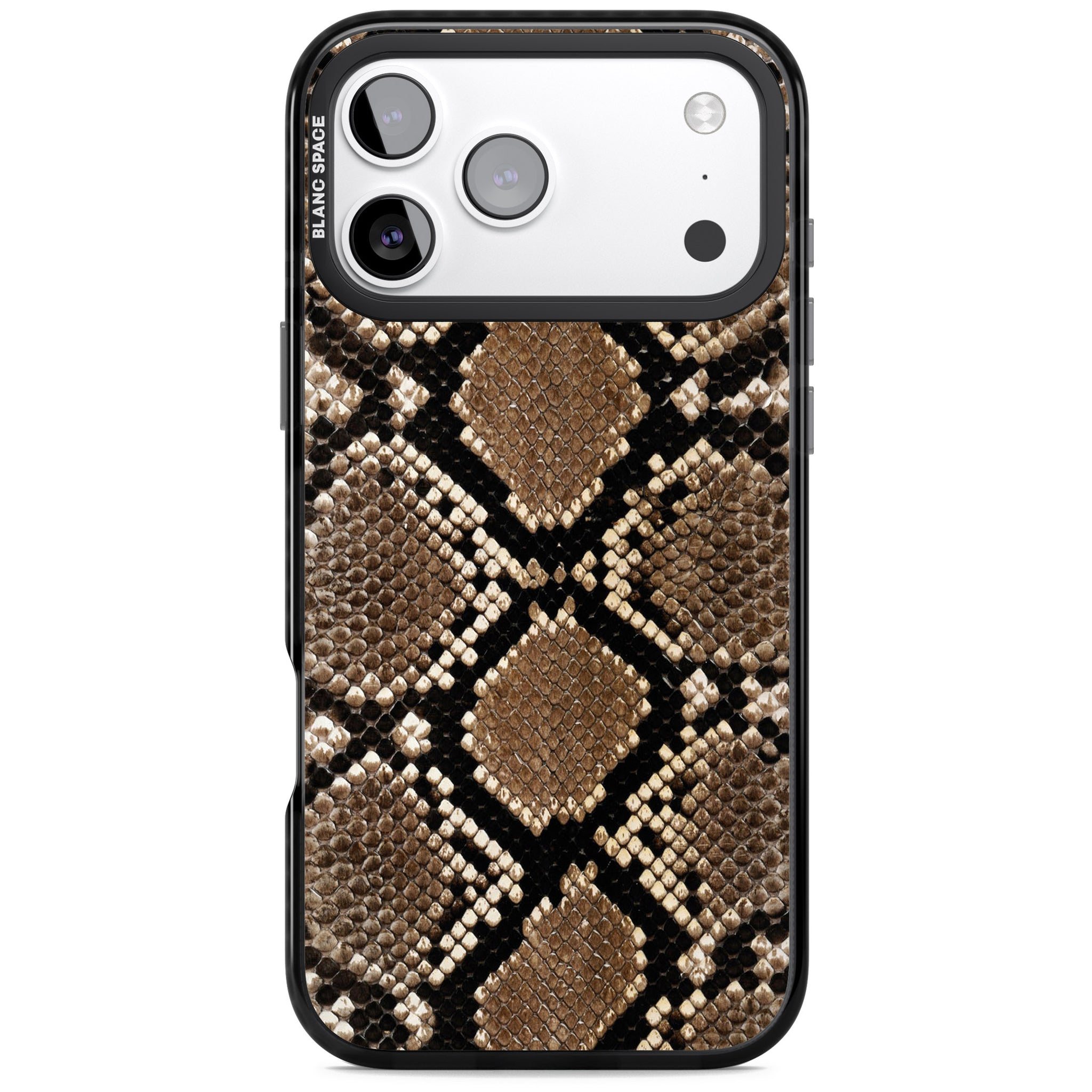 Snakeskin Cute Snake iPhone Case | Blanc Space