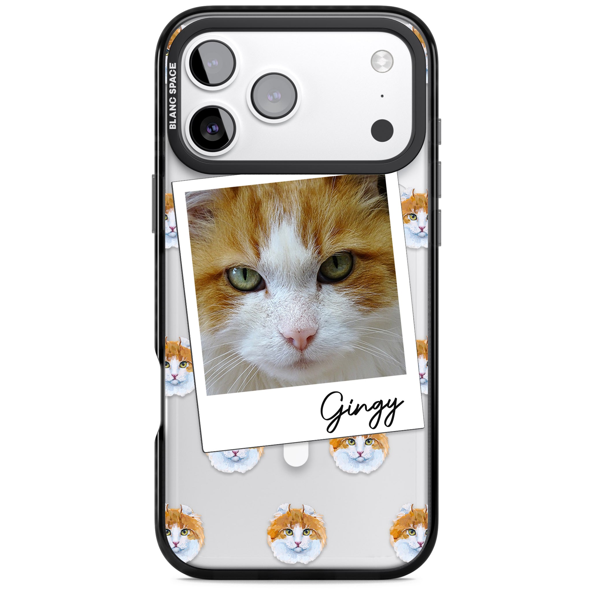 Ginger Cat Photo Phone Case for iPhone & Samsung
